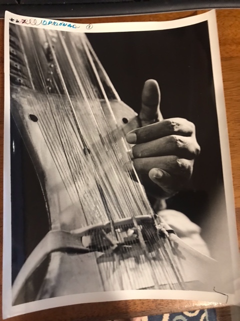 Ram Narayan by Michael Rubinson